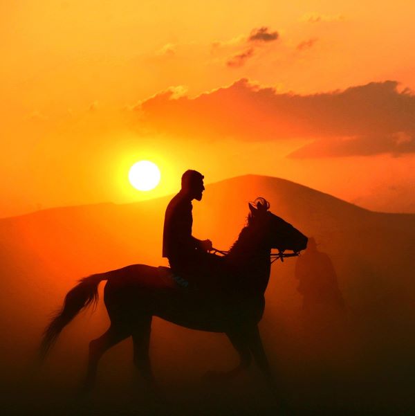 Tips and Techniques for Soothing Your Horse's Leg Inflammation | LTC News