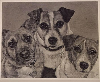 Visual Memories Help with Transition into Long-Term Care